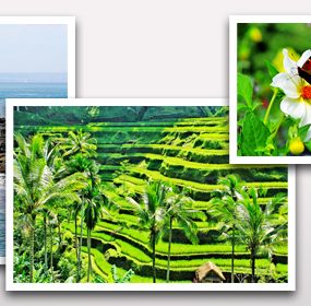 Bali Tour – Sam Bali Car Rental