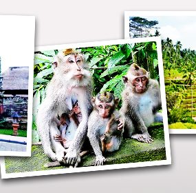 Bali Tour – Sam Bali Car Rental